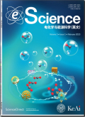 电化学与能源科学（英文） eScience